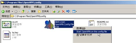 355 Sslvpn 客户端设置windows