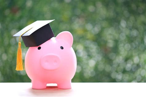 자연 녹색 배경에 돼지 저금통에 졸업 모자 교육 개념에 대한 돈을 절약 개념에 대한 스톡 사진 및 기타 이미지 개념 교사 교육 관련 직업 교육 Istock