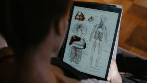 Discover ASHA Your Sexual Health Resource