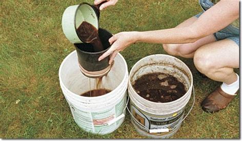 Nature And Farming How To Make Tea Manure Organic Fertilizer