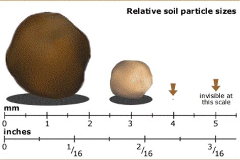 Relative Soil Particle Sizes Quiz By Trev19