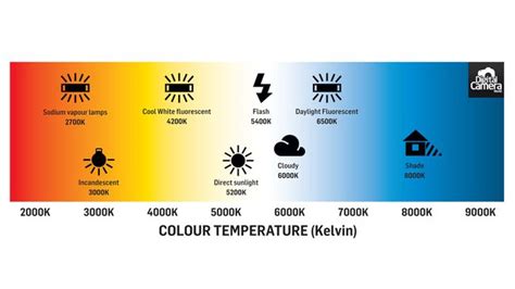 Oh No I Shot A Photo At The Wrong Aspect Ratio On My Iphone Well Heres How To Fix It