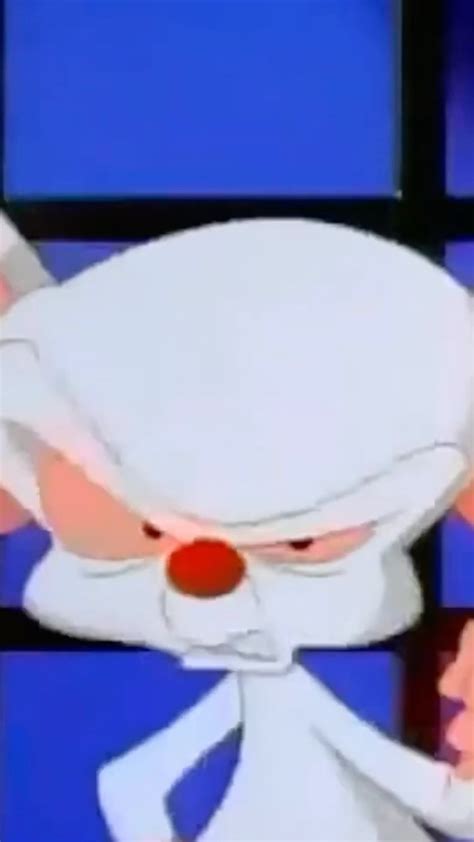 Bptech Bptechoficial • Instagram Photos And Videos