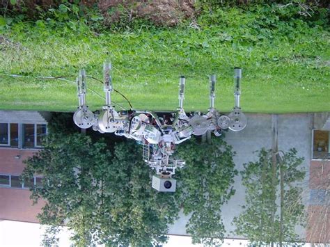 The Six Legged Robot Lauron Iii Used In The Experiments Download Scientific Diagram