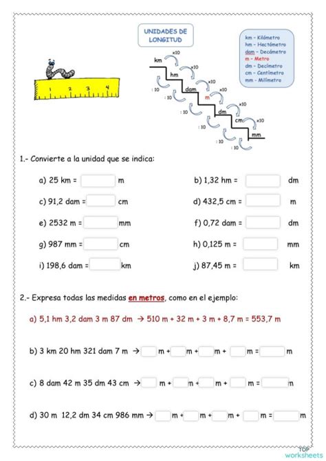 Unidades De Longitud Ficha Interactiva Topworksheets Themeloader Xxx