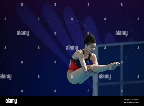 251111 Guangzhou Nov 11 2025 Xinhua Lin Shan Of Guangdong