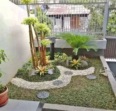 Tanaman Bonsai Anting Putri Warung Tanaman