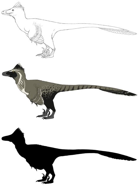Velociraptor Silhouette Png
