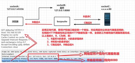 burpsuite 基本原理 burpsuite原理 csdn博客