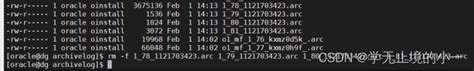 oracle dg备库出现gap解决 oracle adg gap csdn博客