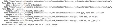 Attributeerror Caught Attributeerror In Dataloader Worker Process 0
