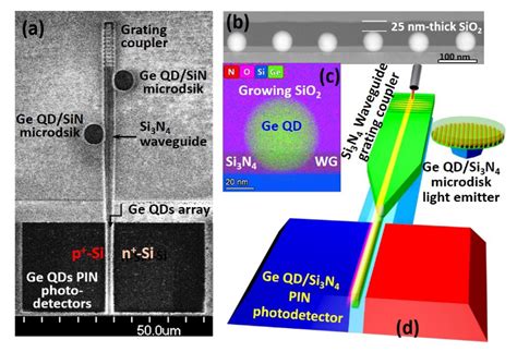 A Sem B Tem And C Eds Map Micrographs D Schematic Showing Download Scientific