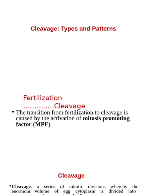 Types And Patterns Of Cleavage Pdf