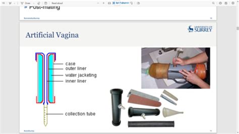 Management Of Reproduction Flashcards Quizlet