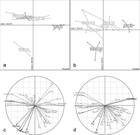Graphs Of The Partial Least Squares Discriminant Analysis Performed On Download Scientific
