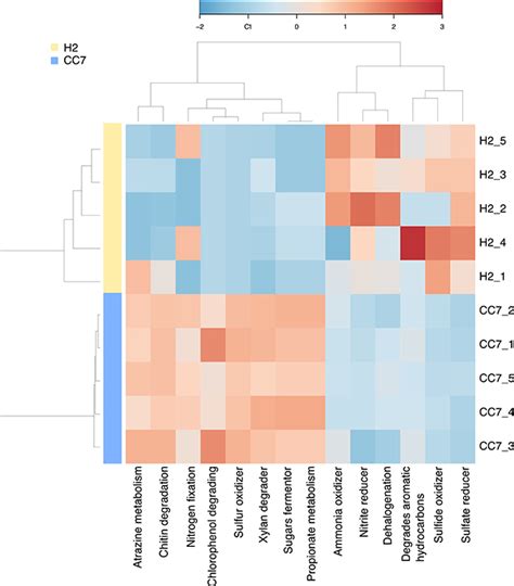 Taxonomy Based Functional Profiling Of Exaiptasia H2 And Cc7 Bacterial