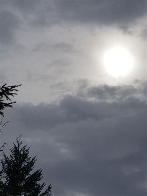 Art Threads Friday Inspiration Hello Sun