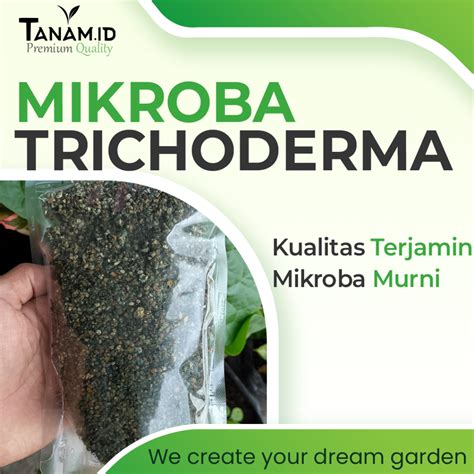 Jual Tricho Murni Mikroba Trichoderma Padat Pengendali Penyakit Campuran Media Tanam Shopee