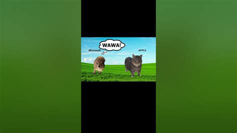 Programmer Codinglife Funny Explore Javascriptdeveloper