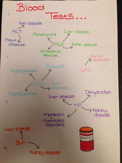 Printable Veterinary Anesthesia Monitoring Sheet Prntbl
