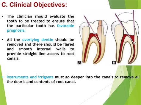 Cleaning And Shaping Of Root Canal Sytem Pdf