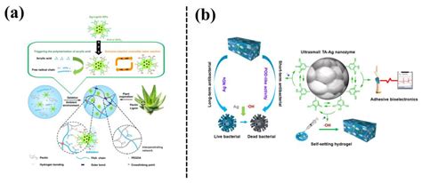 Mussel Inspired Zero Dimensional Nanomaterials Loaded Hydrogels Encyclopedia Mdpi
