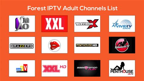 9 Best Adult Iptv Providers Of 2025 [18 Videos]