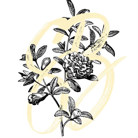 Stephen Berling Photography Stephen Berling Photography