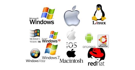 System Software • Pt Dieng Cyber Indonesia