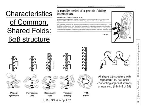 Ppt Analyzing Genomes And Transcriptomes With Structural And Functional