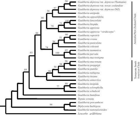 The Single Tree From A Maximum Likelihood Analysis Of The Total