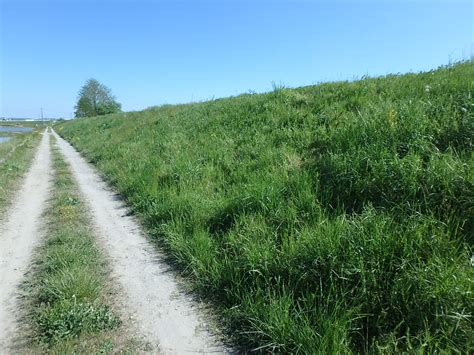善川堤防築堤 2 工事 星造園土木株式会社｜宮城県仙台市｜iso9001・みちのくems取得