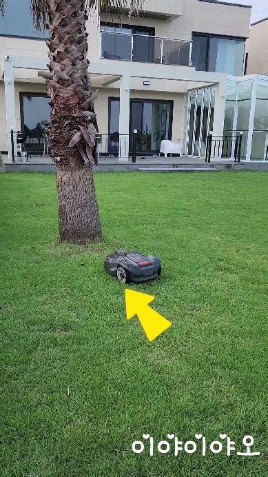 이야이야오제주키즈풀빌라제주키즈펜션제주독채풀빌라제주독채풀빌라제주여행서귀포숙소 이야이야오 야외놀이공간 놀이기구 추가되었습니다😄 넓은 잔디마당에 아이들이 마음껏