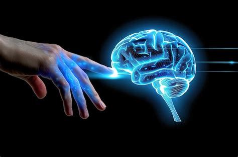 premium photo integrating artificial intelligence and the human brain