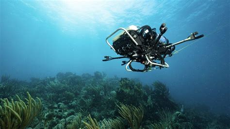 Neural Network Identifies Coral Reef Sounds