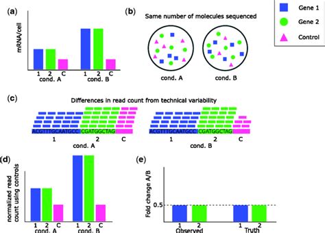 How Assumptions Provide The Link Between Raw Rna Seq Read Counts And