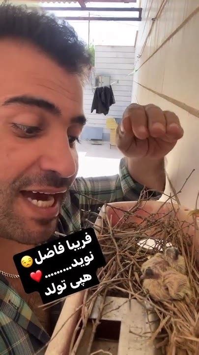 بچه های فریبا و فاضل Youtube