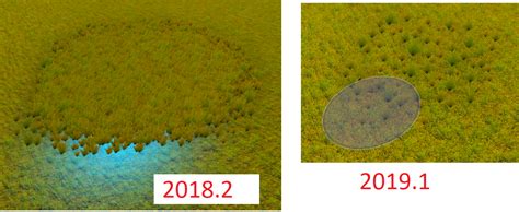 detail density issue after upgrading from 2018 2 to 2019 1 unity