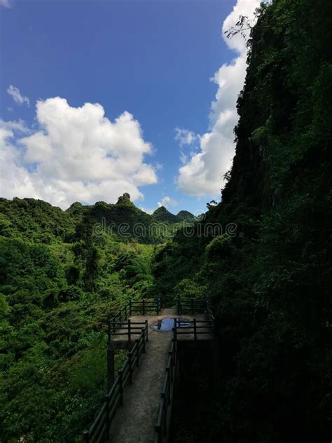 An Abandoned Overpass In The Wilderness Of The Tropical Jungles Stock Image Image Of Tropical