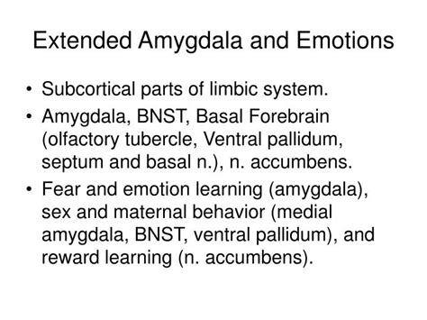 Ppt Fear Anxiety Disorders And Amygdala Powerpoint Presentation Id259326