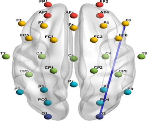 Connectivity Pattern In Theta Band Using The Pli Estimator For Srs Download Scientific Diagram