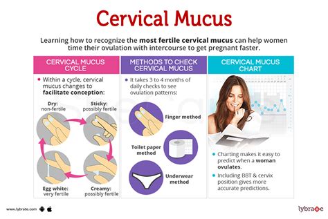 Menstrual Cycle Discharge After Ovulation If Pregnant Cervical Mucus