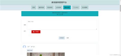 基于springbootvue前后分离的家政服务管理平台，家政管理系统（java毕业设计）基于springbootvue的家政服务管理