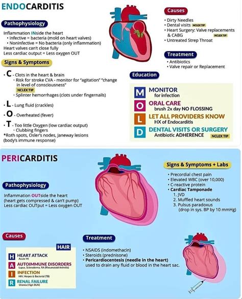 Medical Endocarditis🫀 Medical Cardio Follower Physio Everyone