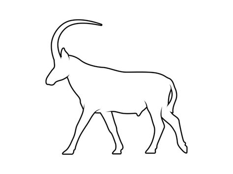 Sable Antelope Vector Art Icons And Graphics For Free Download