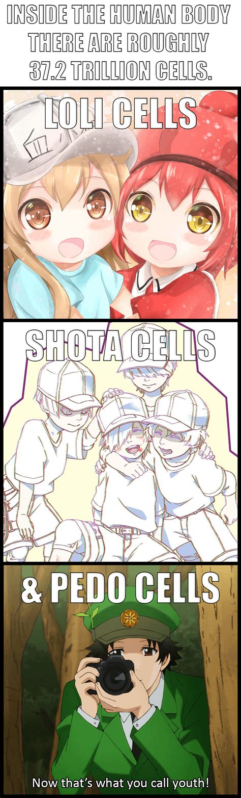 Is It Legal If My Body Lewds Its Own Cells Ranimemes