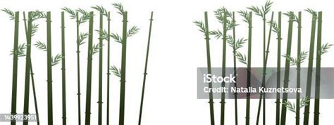 많은 대나무 열대 갈대 침대 남부 위도의 정글과 열대 우림 만화 재미있는 스타일 플랫 디자인 흰색 배경에 격리 벡터 갈대속 벼과에 대한 스톡 벡터 아트 및 기타 이미지