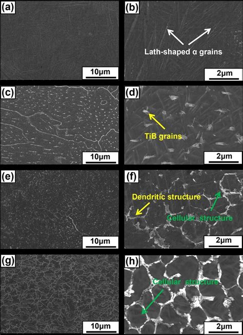 Microstructures Of Samples With Different Lab6 Contents Download Scientific Diagram Microstructures Of Samples With Different Lab6 Contents Download Scientific Diagram