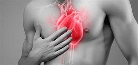 Endocarditis Treatment Cost In India From Best Doctor