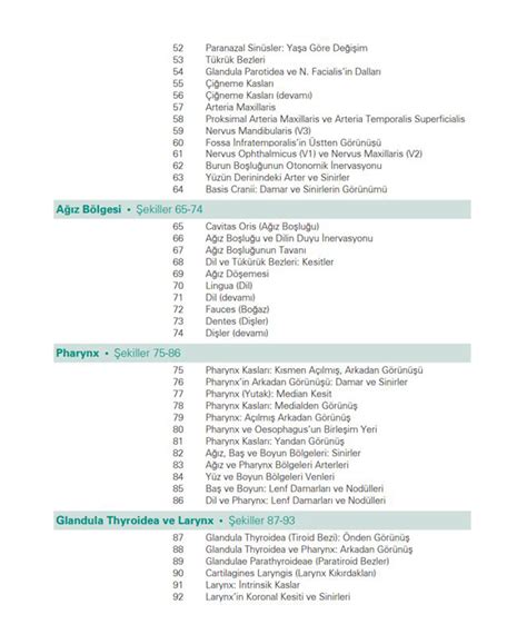 Güneş Tıp Kitabevlerinde Netter İnsan Anatomisi Atlası Detaylı Ve Doğru Görselleriyle öne Güneş Tıp Kitabevlerinde Netter İnsan Anatomisi Atlası Detaylı Ve Doğru Görselleriyle öne
